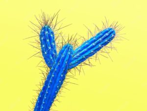 The 20 Best Spiky Plants for Your Garden: A Comprehensive Guide ...